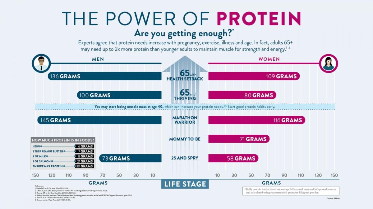 Proof in the Protein - Kb Fitness Solutions