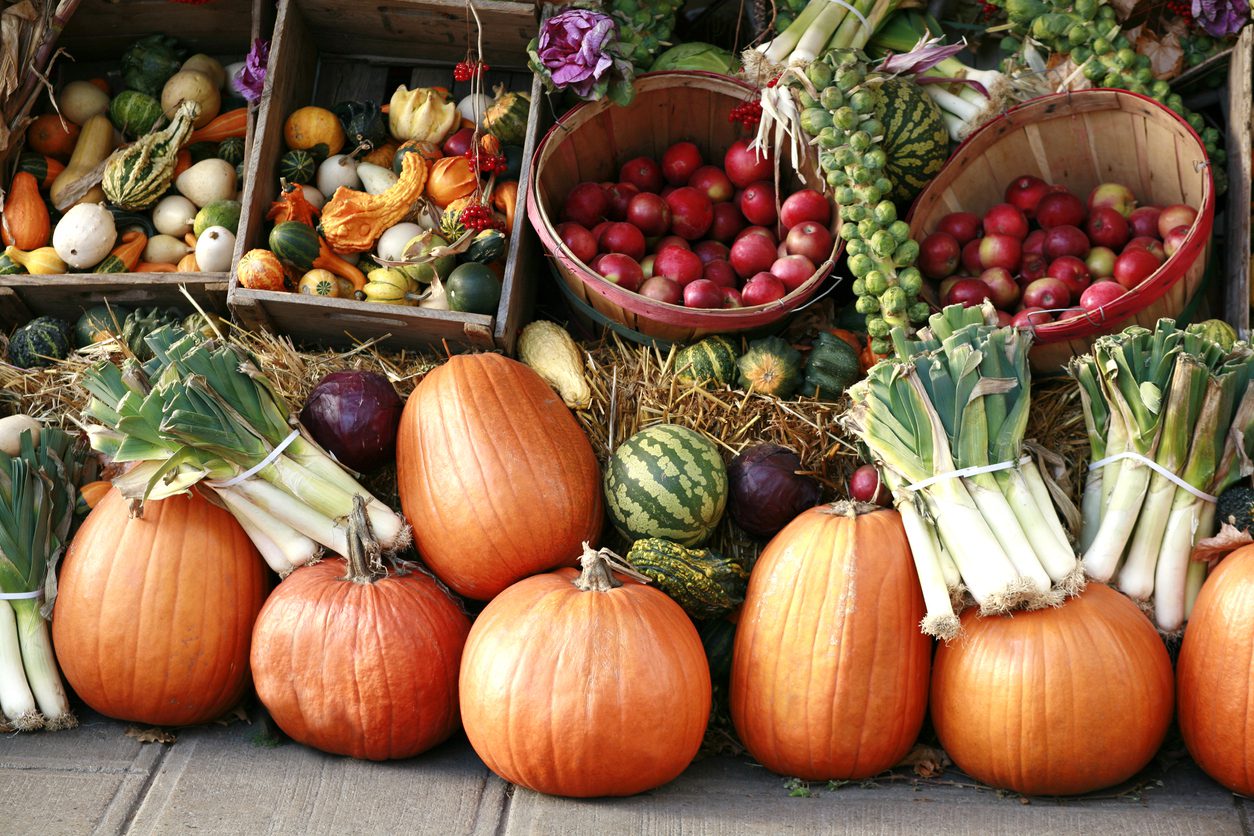 A Diet Rich in Fall Vegetables - Kb Fitness Solutions