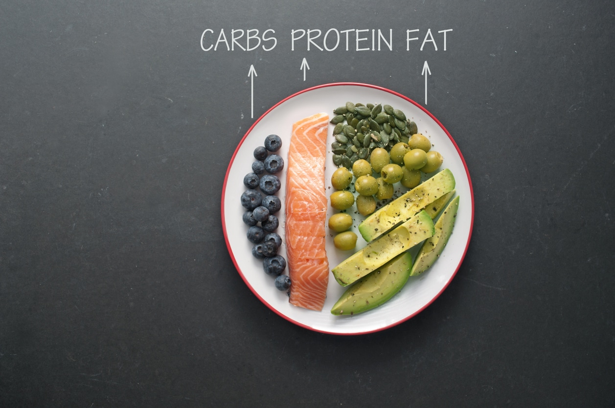 Macronutrients 101: Understanding Protein, Carbs, and Fats for a ...