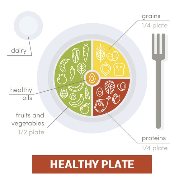 Macronutrients 101: Understanding Protein, Carbs, and Fats for a ...