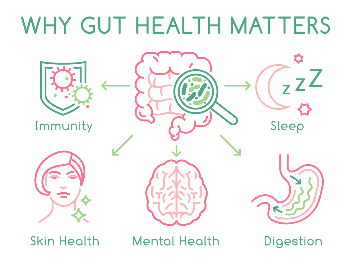 Gut Health and Detoxification: Why Your Microbiome Matters - Kb Fitness ...